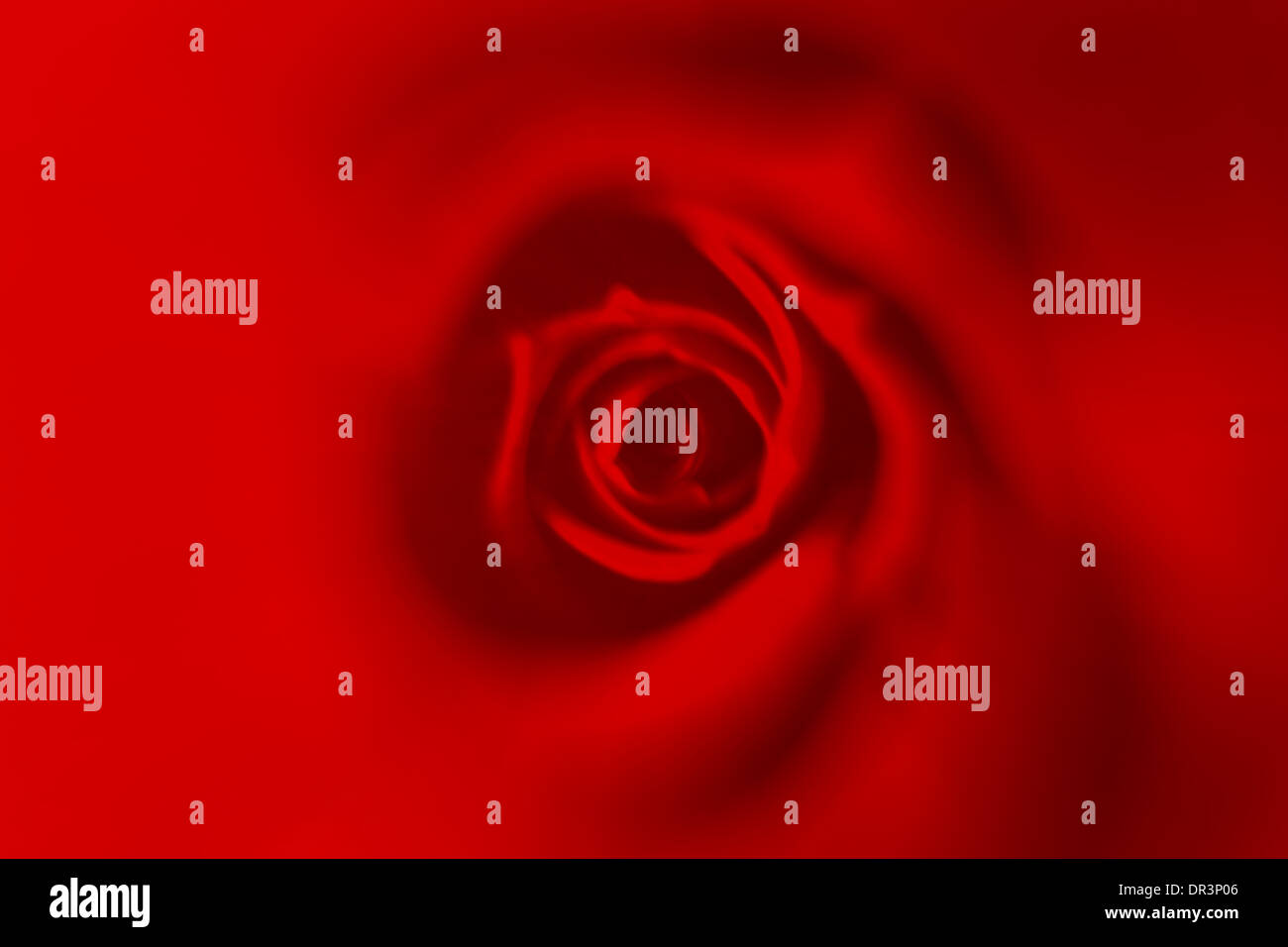 Red-rose abstract background Stock Photo - Alamy