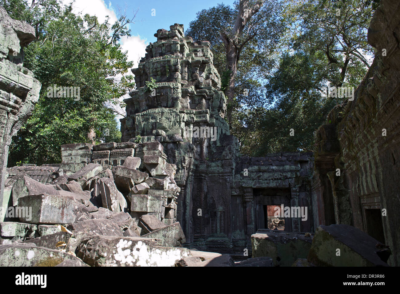 Ta prohm tree people hi-res stock photography and images - Alamy