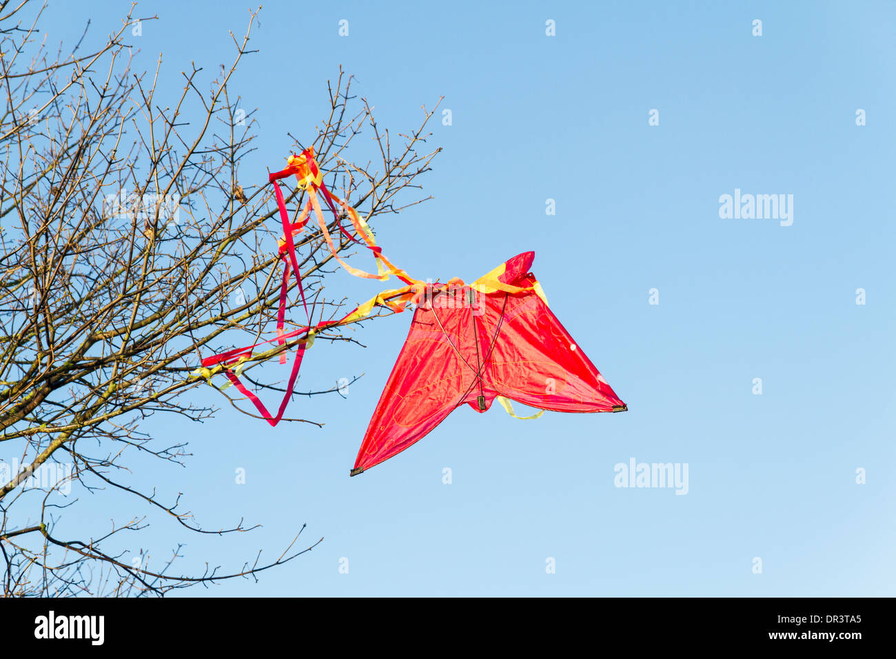 Stuck to the tree hi-res stock photography and images - Alamy