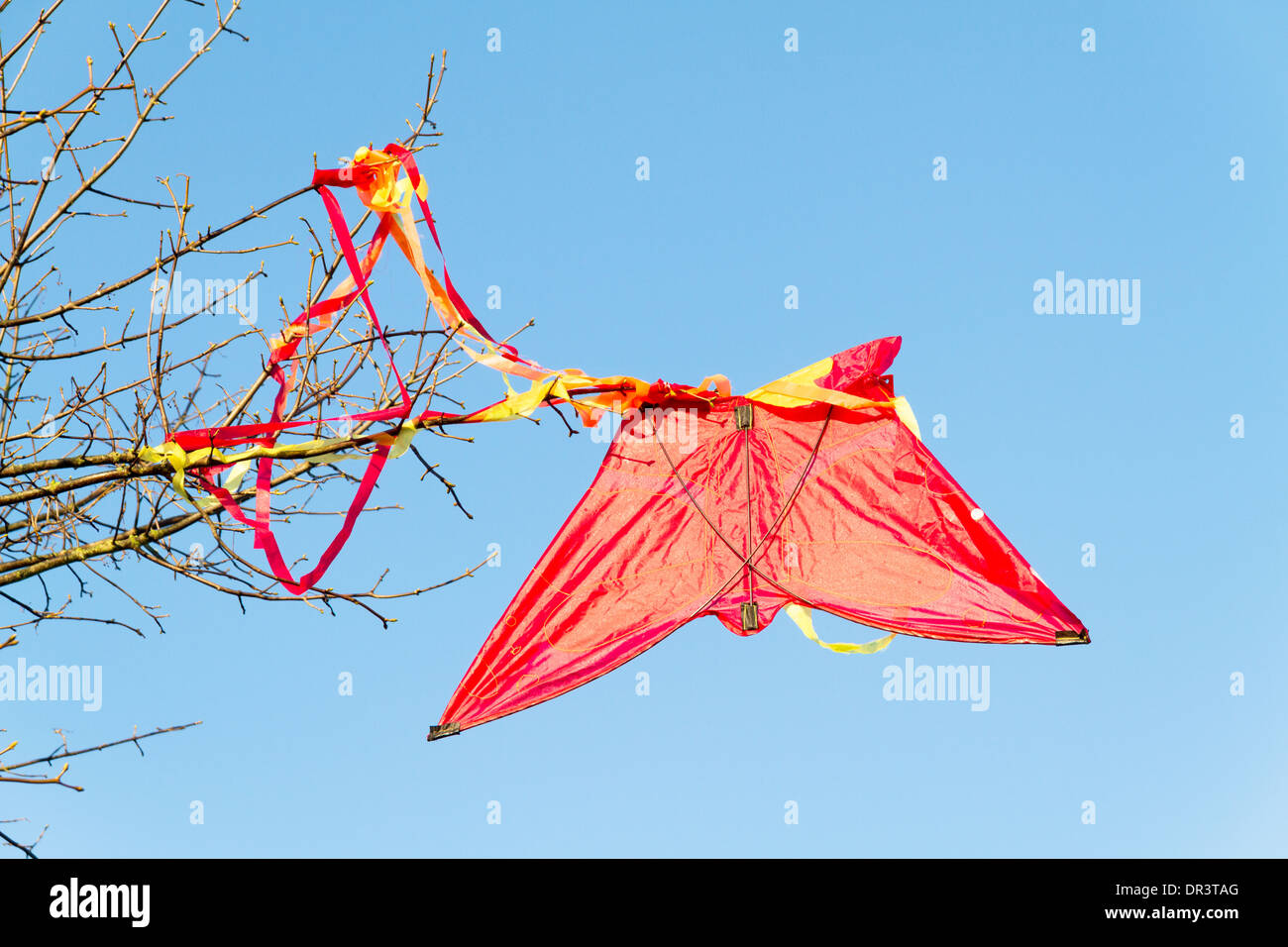Child's kite stuck up a tree and abandoned Stock Photo - Alamy