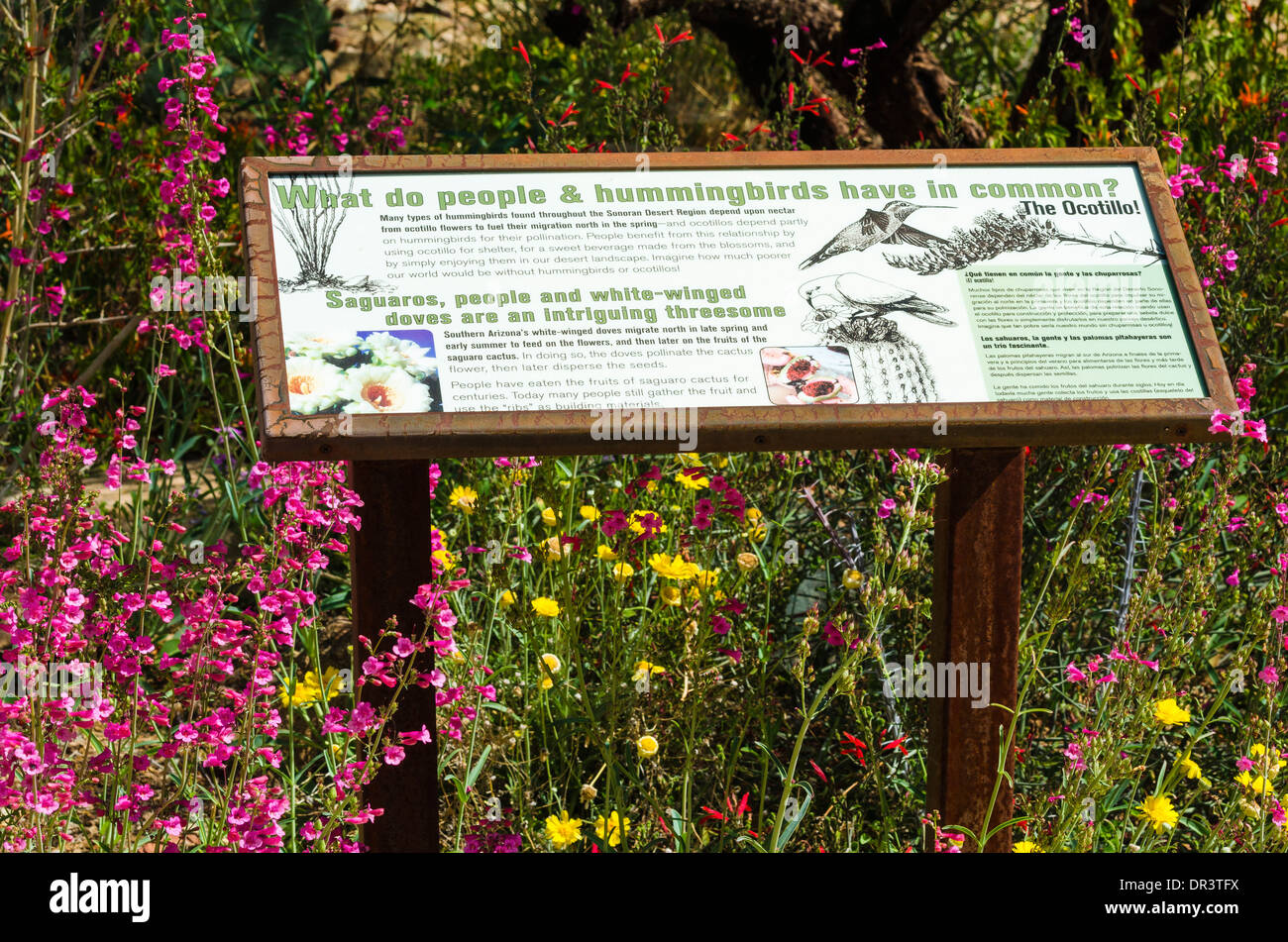 Interpretive display at the Arizona-Sonora Desert Museum, Tucson ...