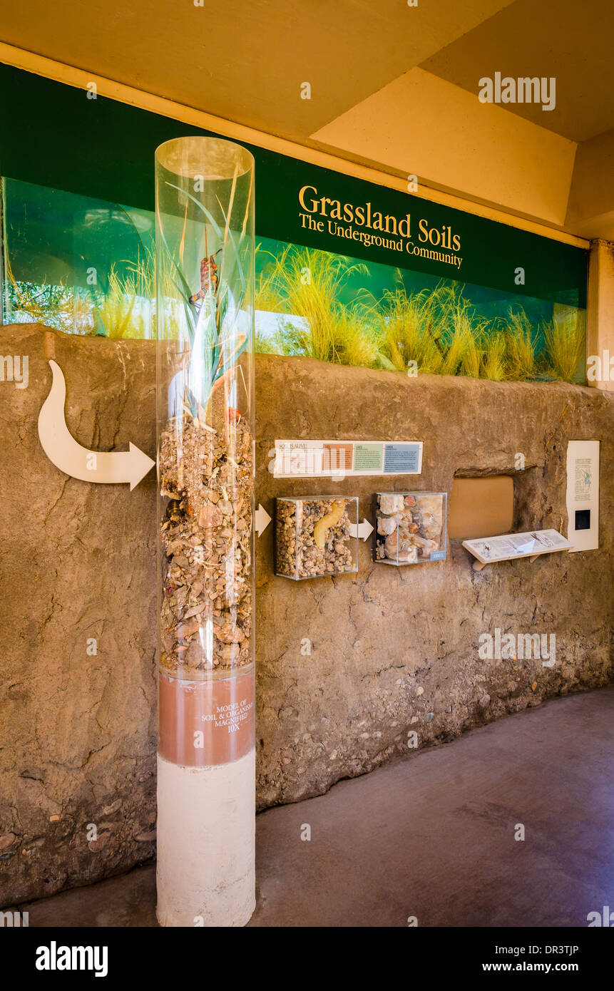 Interpretive display at the Arizona-Sonora Desert Museum, Tuscon ...