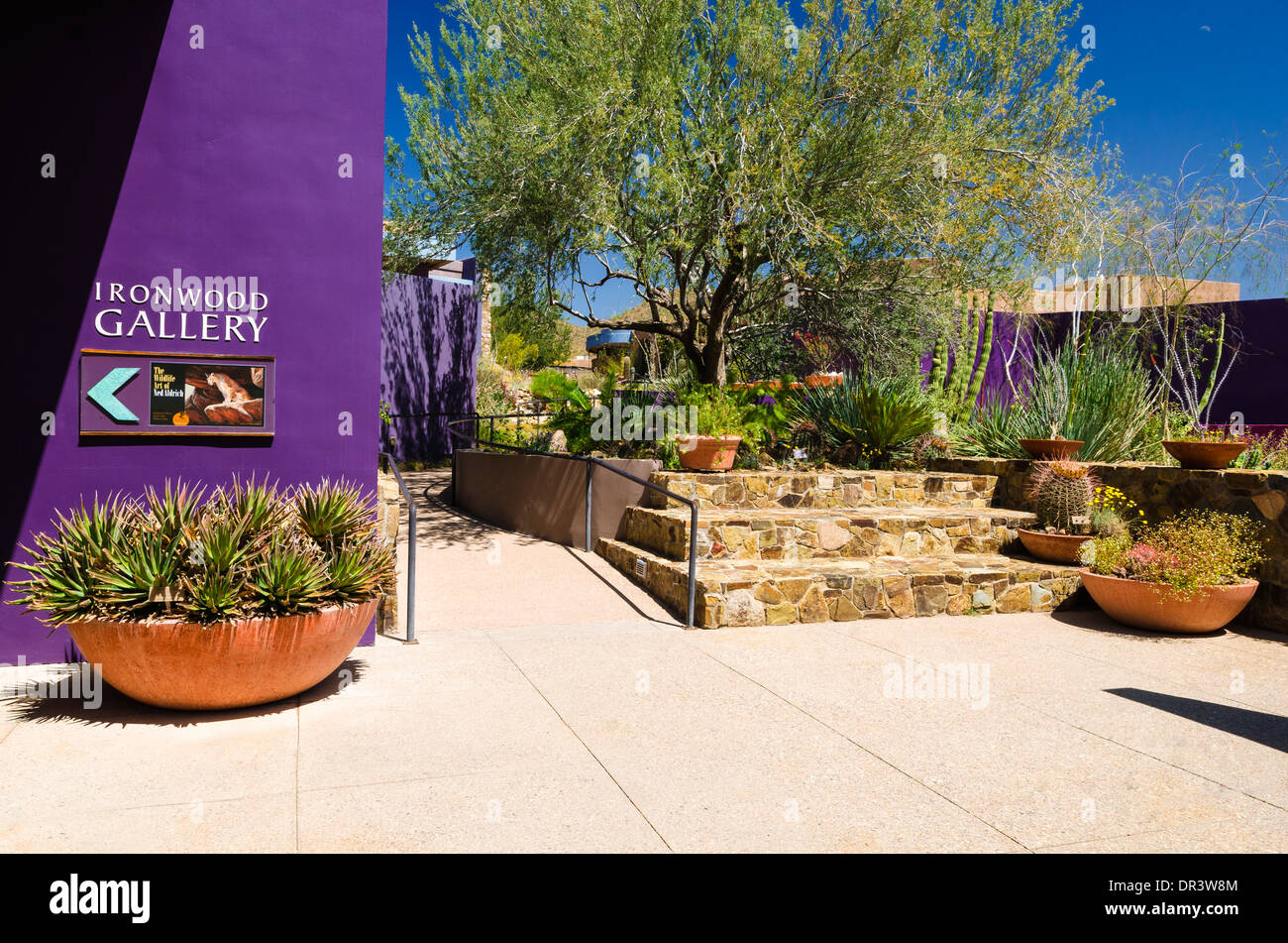 Arizona-Sonora Desert Museum, Tucson, Arizona USA Stock Photo - Alamy