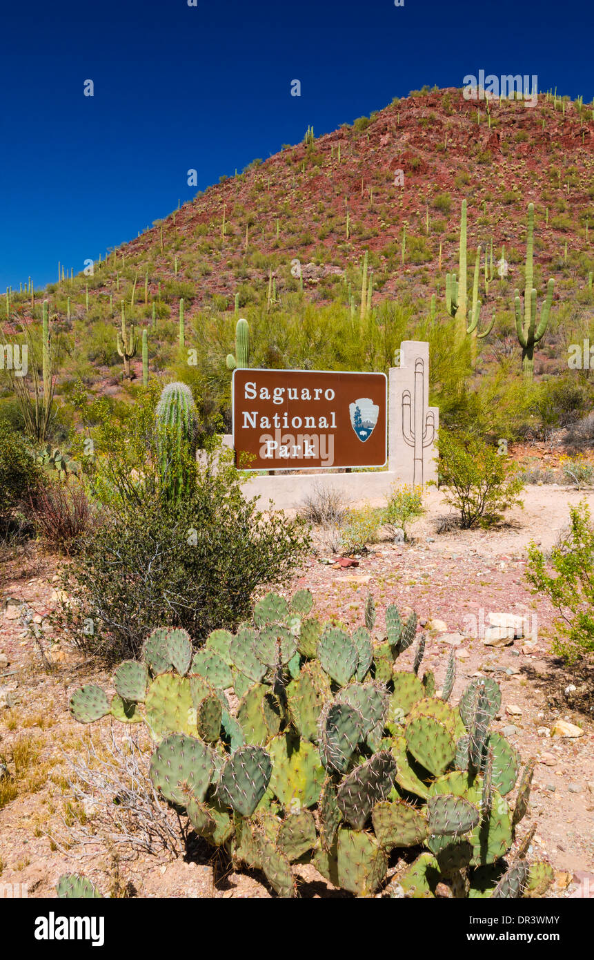 Entrance sign, Saguaro National Park (Tucson Mountain District ...
