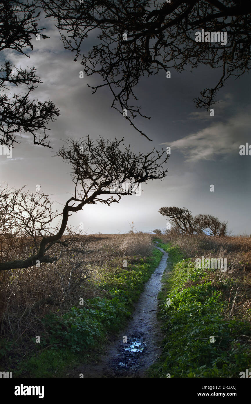 Country pathway hi-res stock photography and images - Alamy