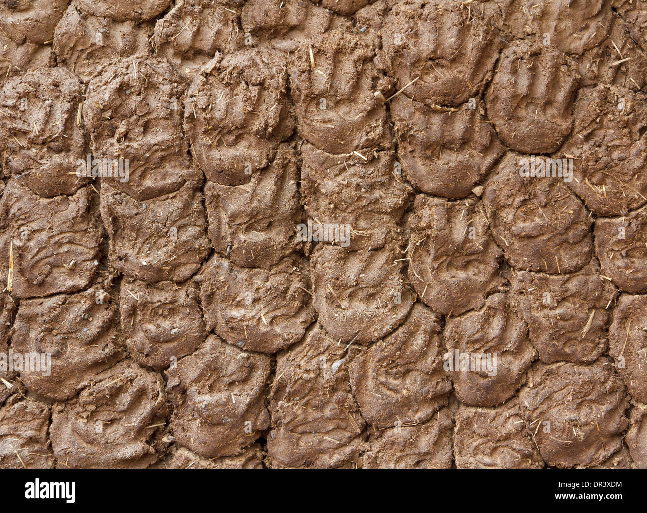 Cow dung wall hi-res stock photography and images - Alamy