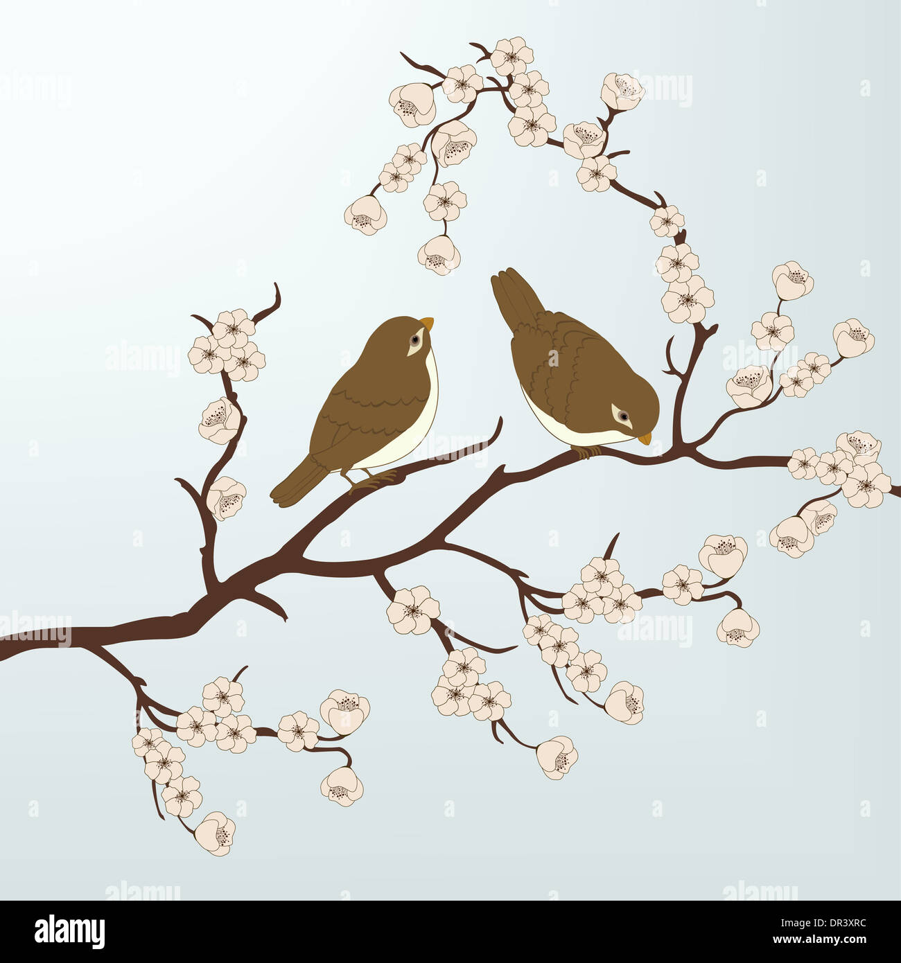 Flying birds flowers hi-res stock photography and images - Alamy