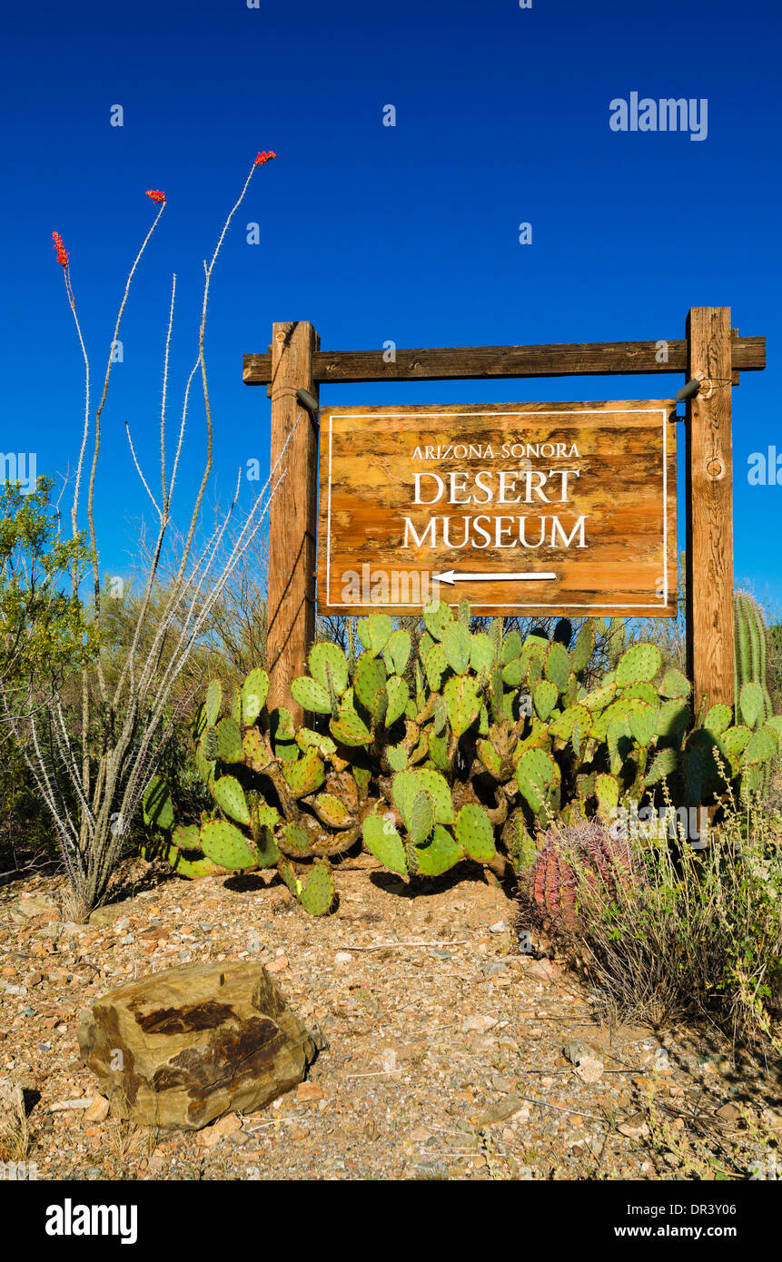 Arizona Sonora Desert Museum