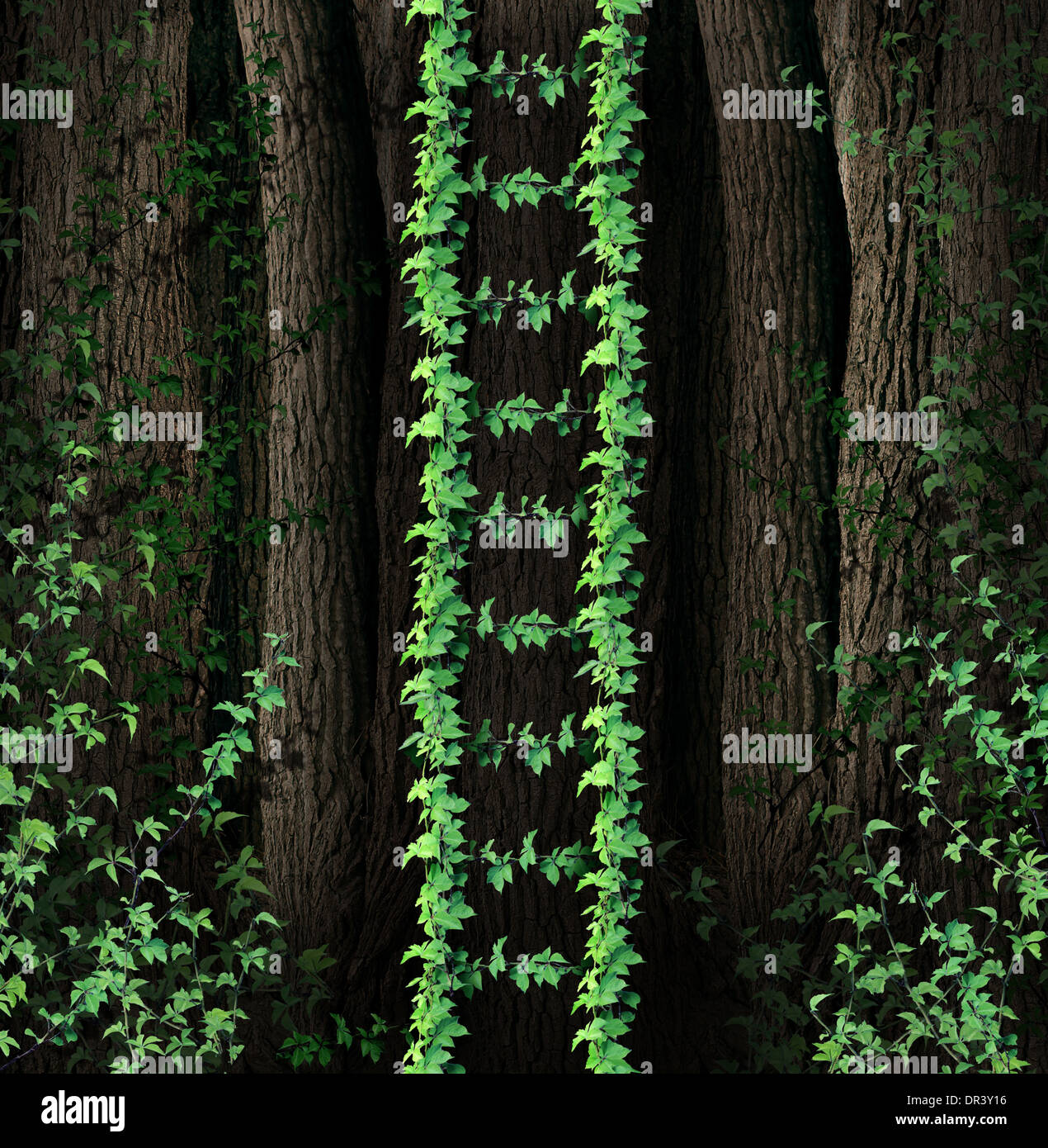 Growth Ladder and a symbol of a new growing steps to success business ...