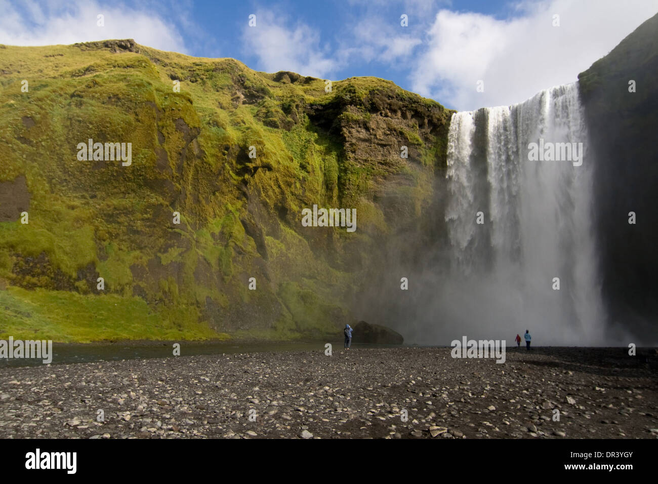 Skogafoss waterfall in summer, Skogar, Iceland Stock Photo - Alamy