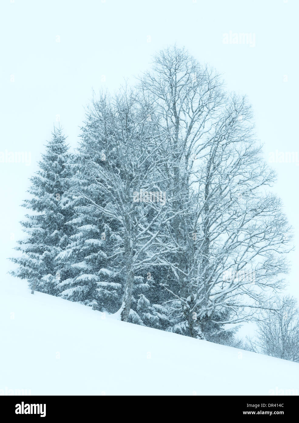 Dull day overcast hi-res stock photography and images - Alamy