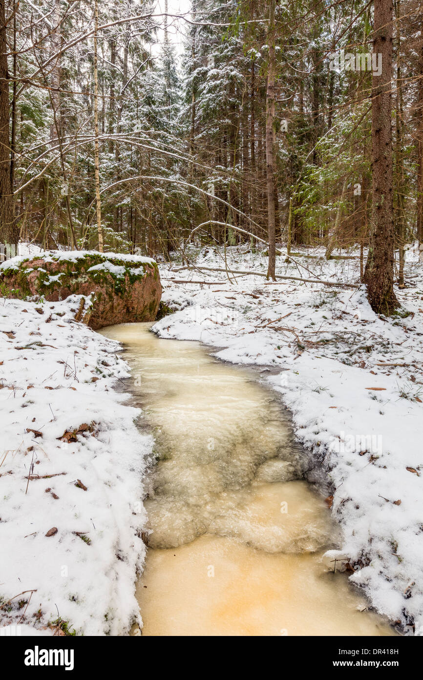 Frozen forest hi-res stock photography and images - Alamy