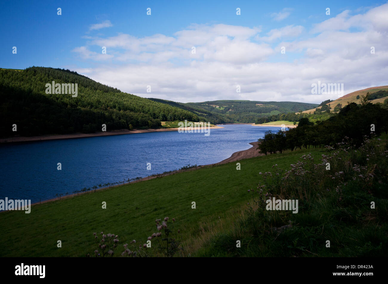 Ladybower Reservoir in late summer. Looking north along the Derwent Arm ...