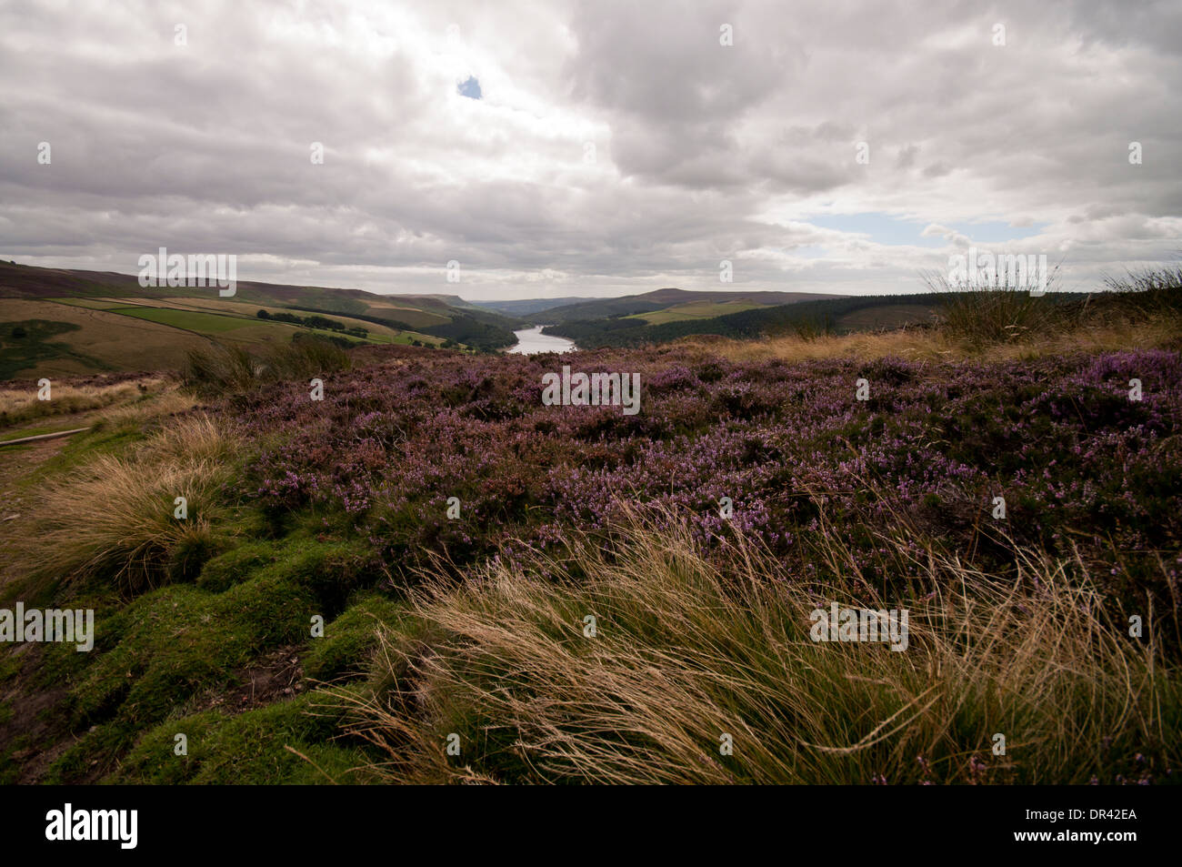 Looking South from Pike Low above Ladybower Reservoir in late summer ...