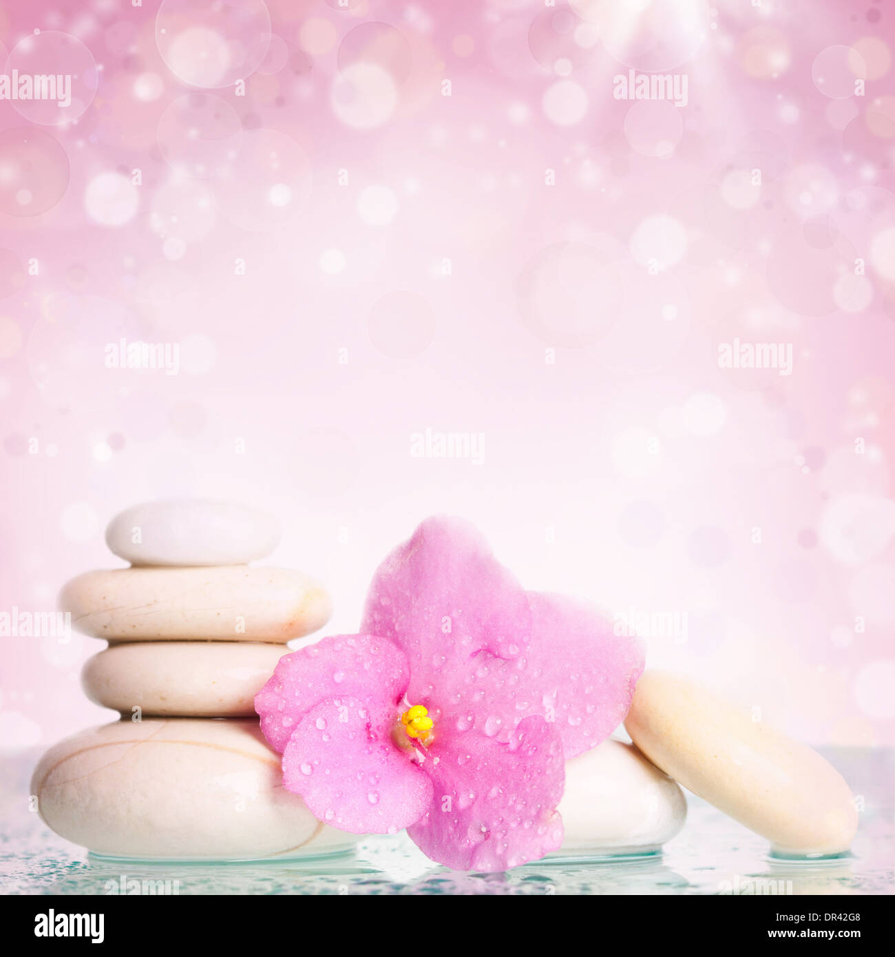 Spa stones and pink flower on colorful spring background Stock Photo ...