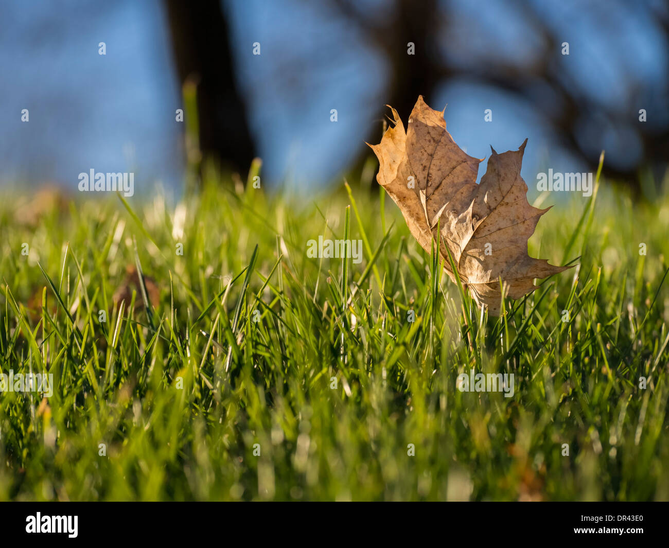 Lonely autumn hi-res stock photography and images - Alamy