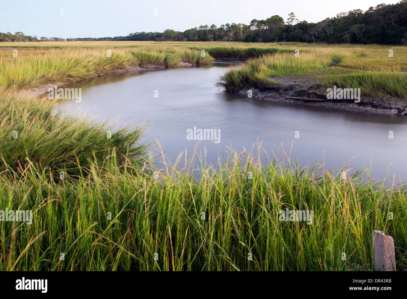 Marsh island hi-res stock photography and images - Alamy