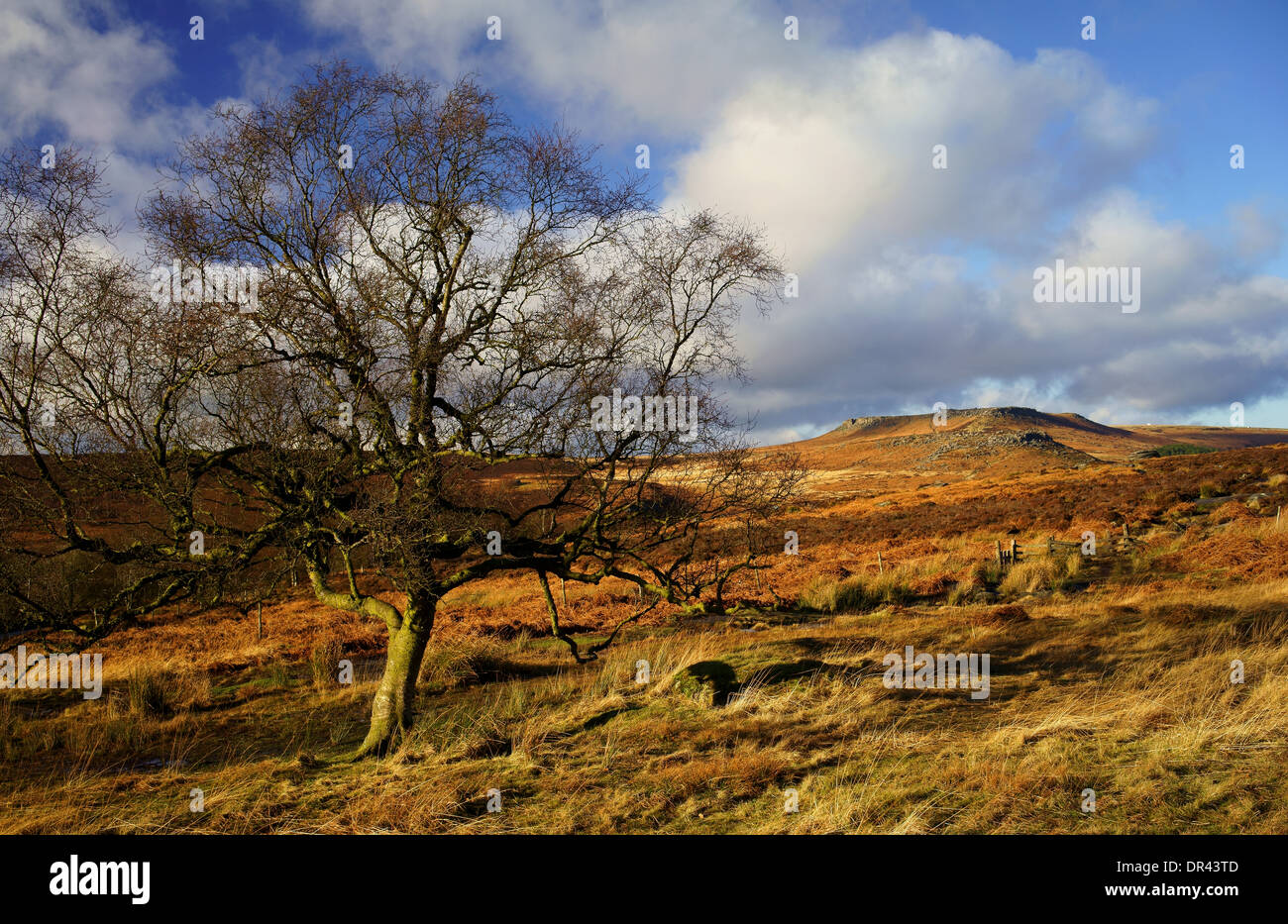 Burbage south valley peak district hi-res stock photography and images ...