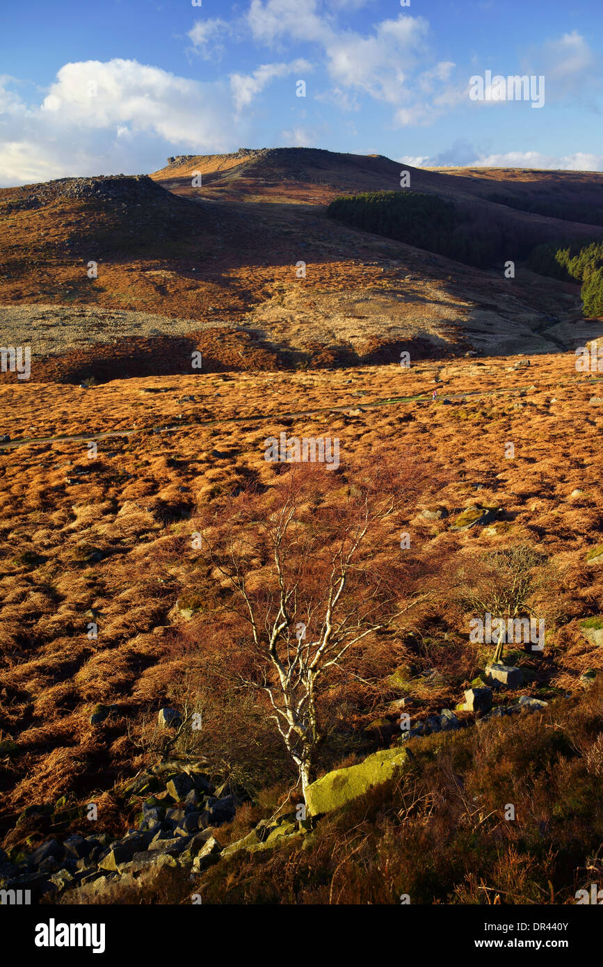 Burbage south valley peak district hi-res stock photography and images ...