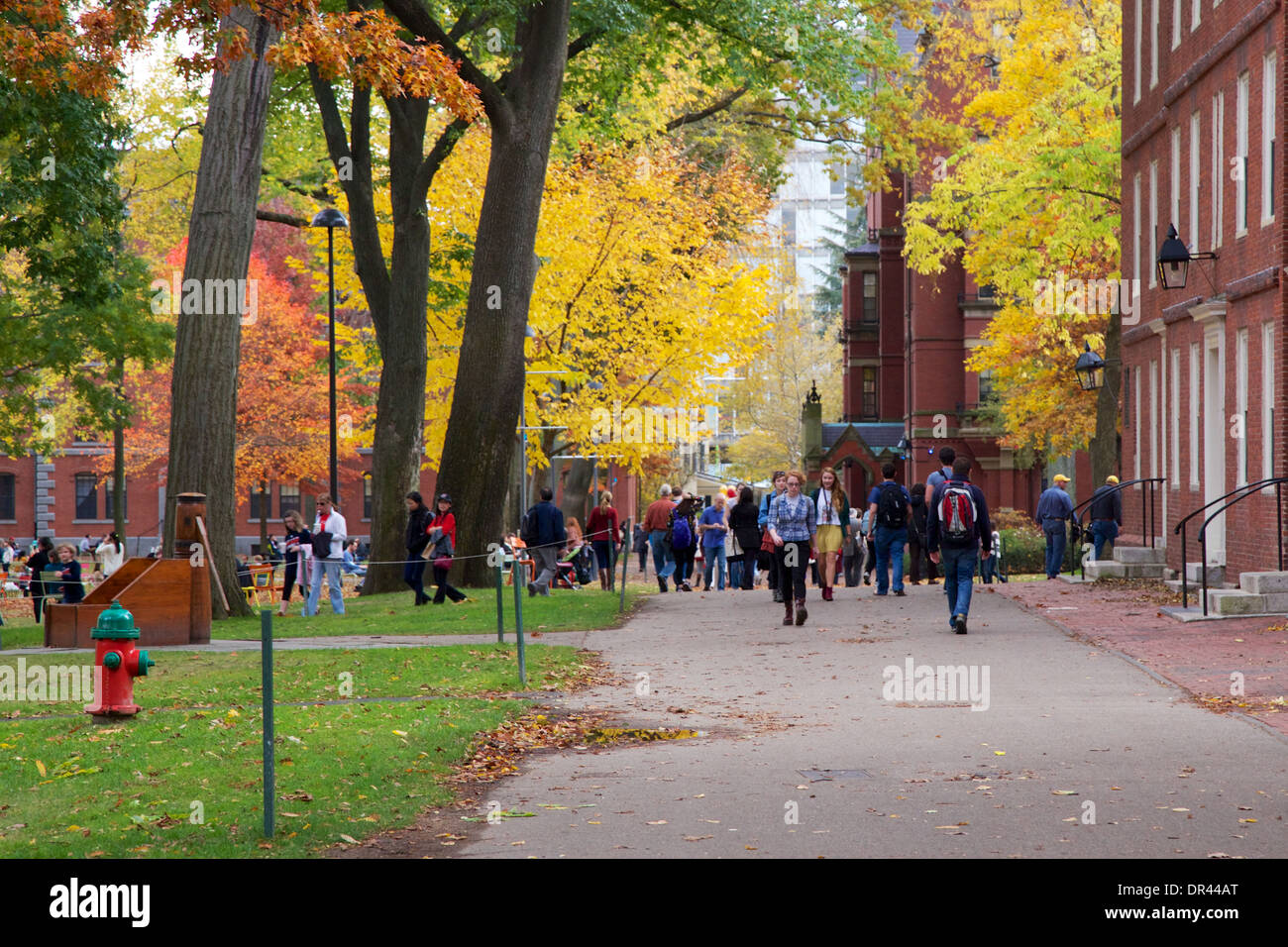 Harvard Yard, old heart of Harvard University campus, lit up in ...