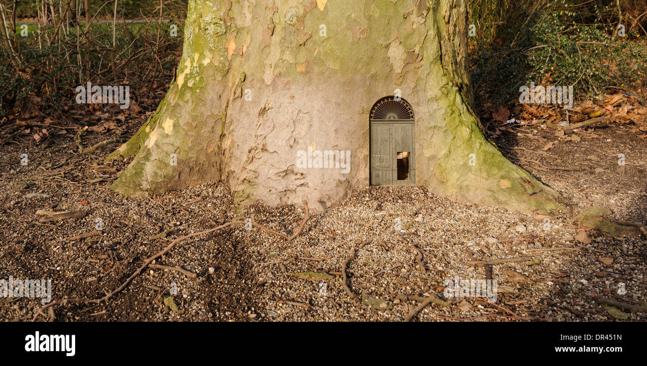 Tree trunk door hi-res stock photography and images - Alamy
