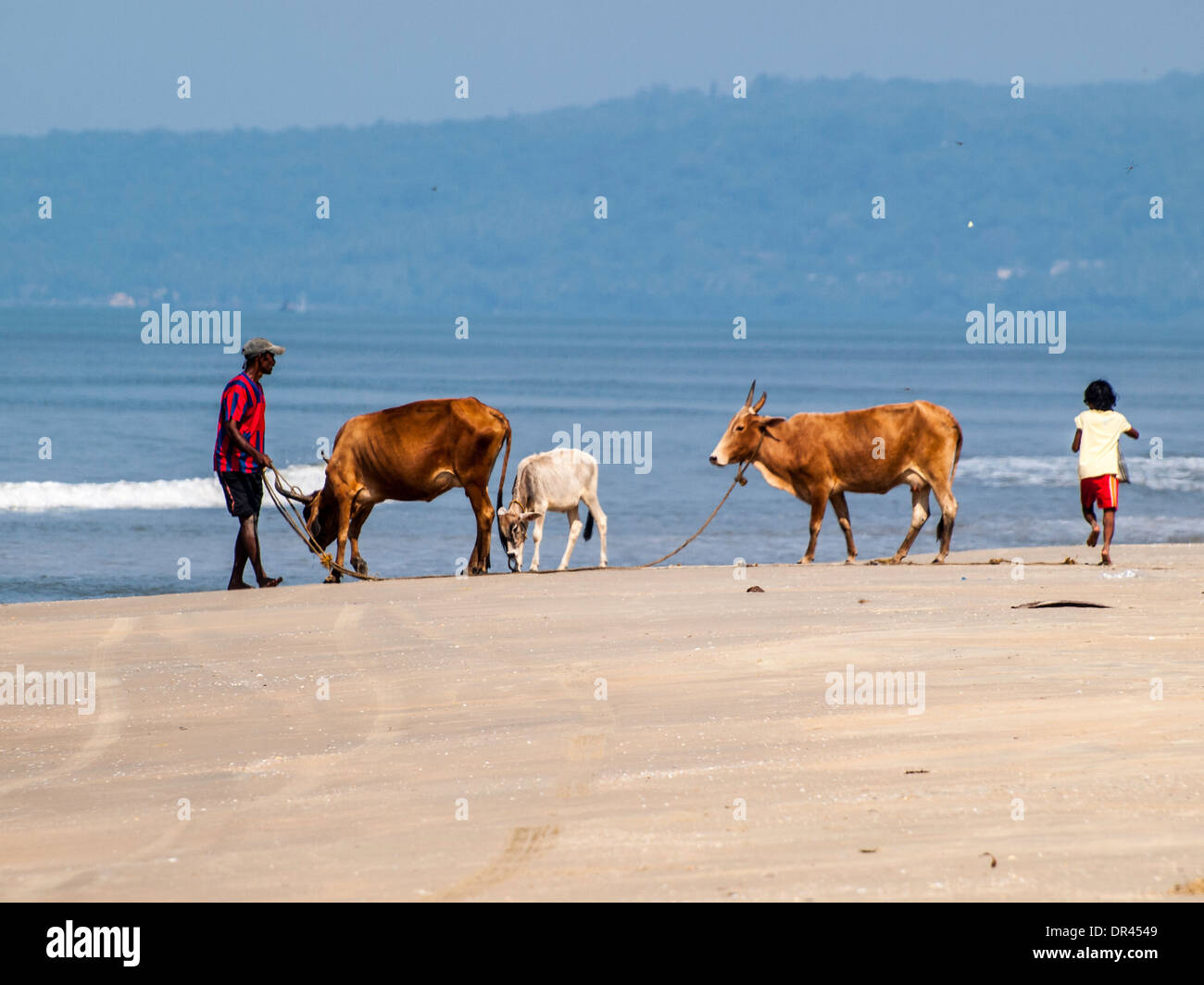 Indian Family Having Fun High Resolution Stock Photography and Images ...
