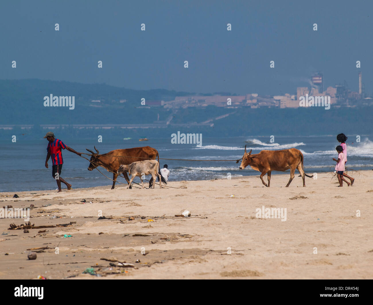 Betalbatim beach in goa hi-res stock photography and images - Alamy
