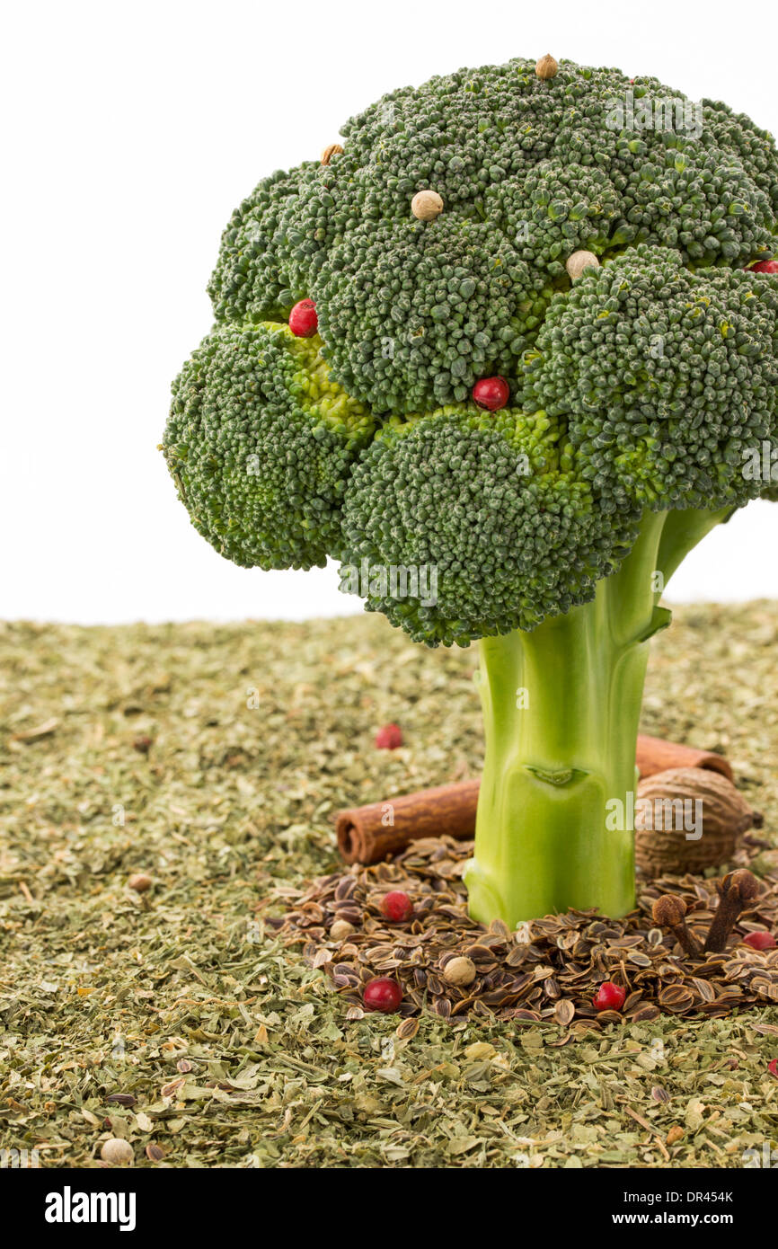 broccoli and spices isolated on white background Stock Photo - Alamy