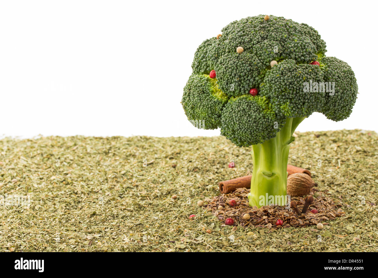 broccoli and spices isolated on white background Stock Photo - Alamy