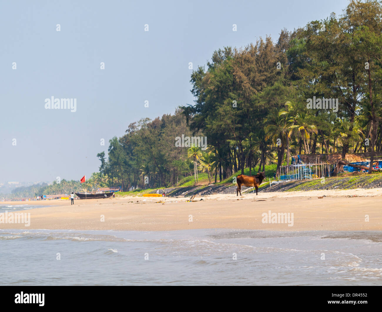 Betalbatim beach sea sand goa india hi-res stock photography and images ...