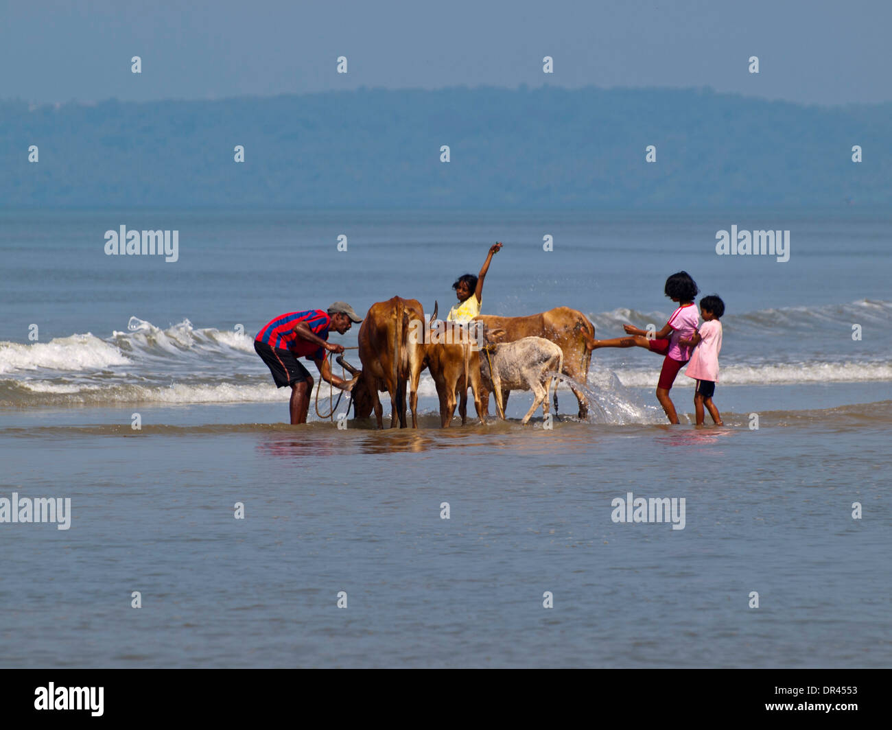 Indian family goa beach playing hi-res stock photography and images - Alamy