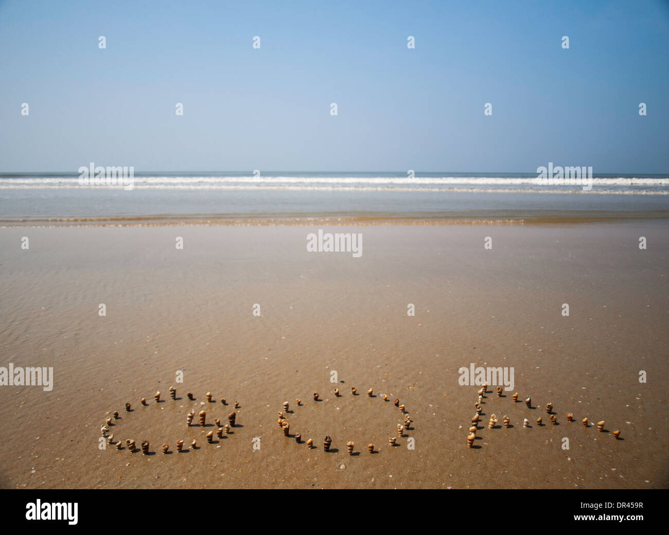 India sea shells hi-res stock photography and images - Alamy