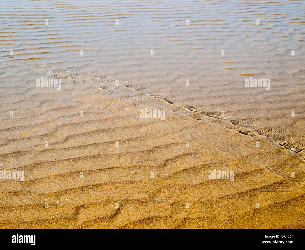Sand waves under the shallow sea water Stock Photo - Alamy