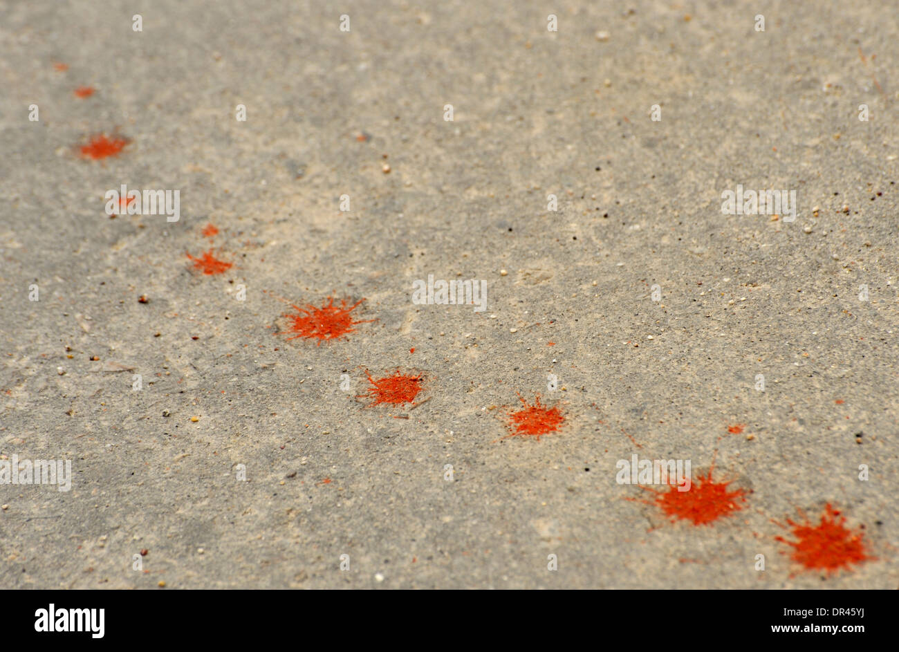 Chewing Betel Nut Stock Photos & Chewing Betel Nut Stock Images - Alamy