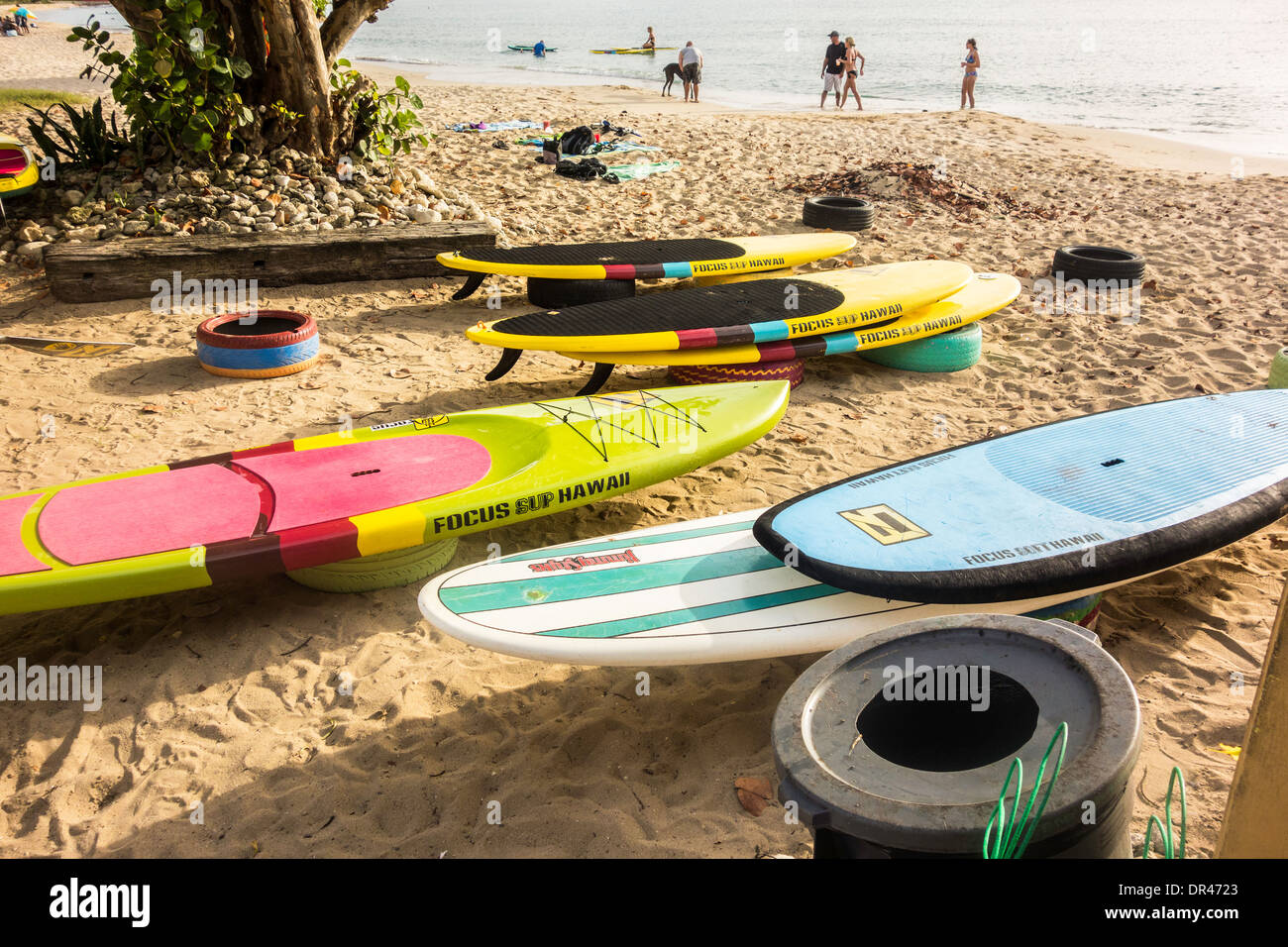 Colorful paddle boards on the beach with people in the background ...