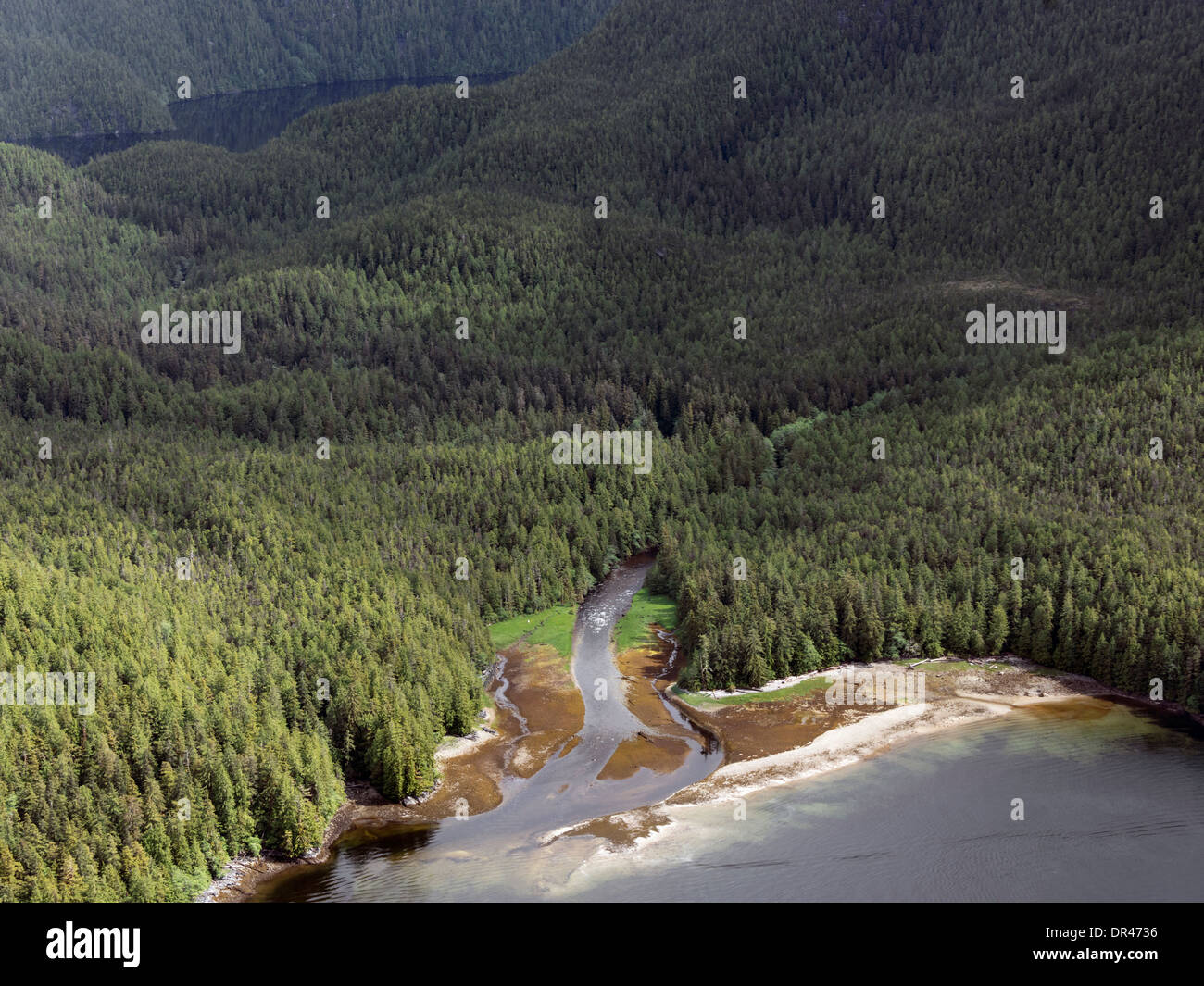 Grizzly bear country from the air, Grenville Channel north of Hartley ...