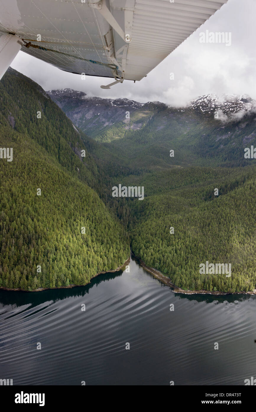 Grizzly bear country, Grenville Channel north of Hartley Bay, mid-coast ...