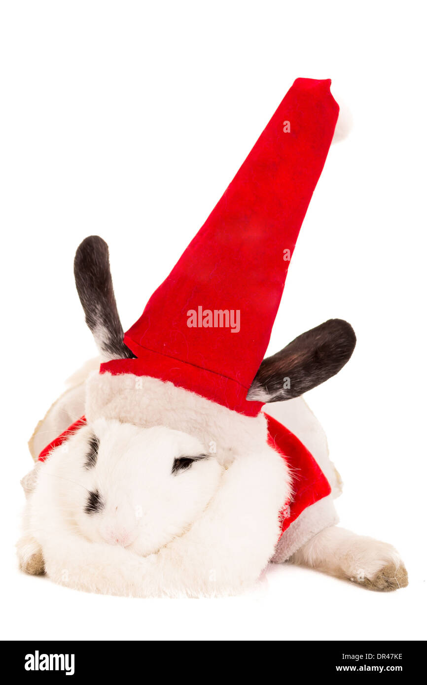 Furry creature costume hi-res stock photography and images - Alamy