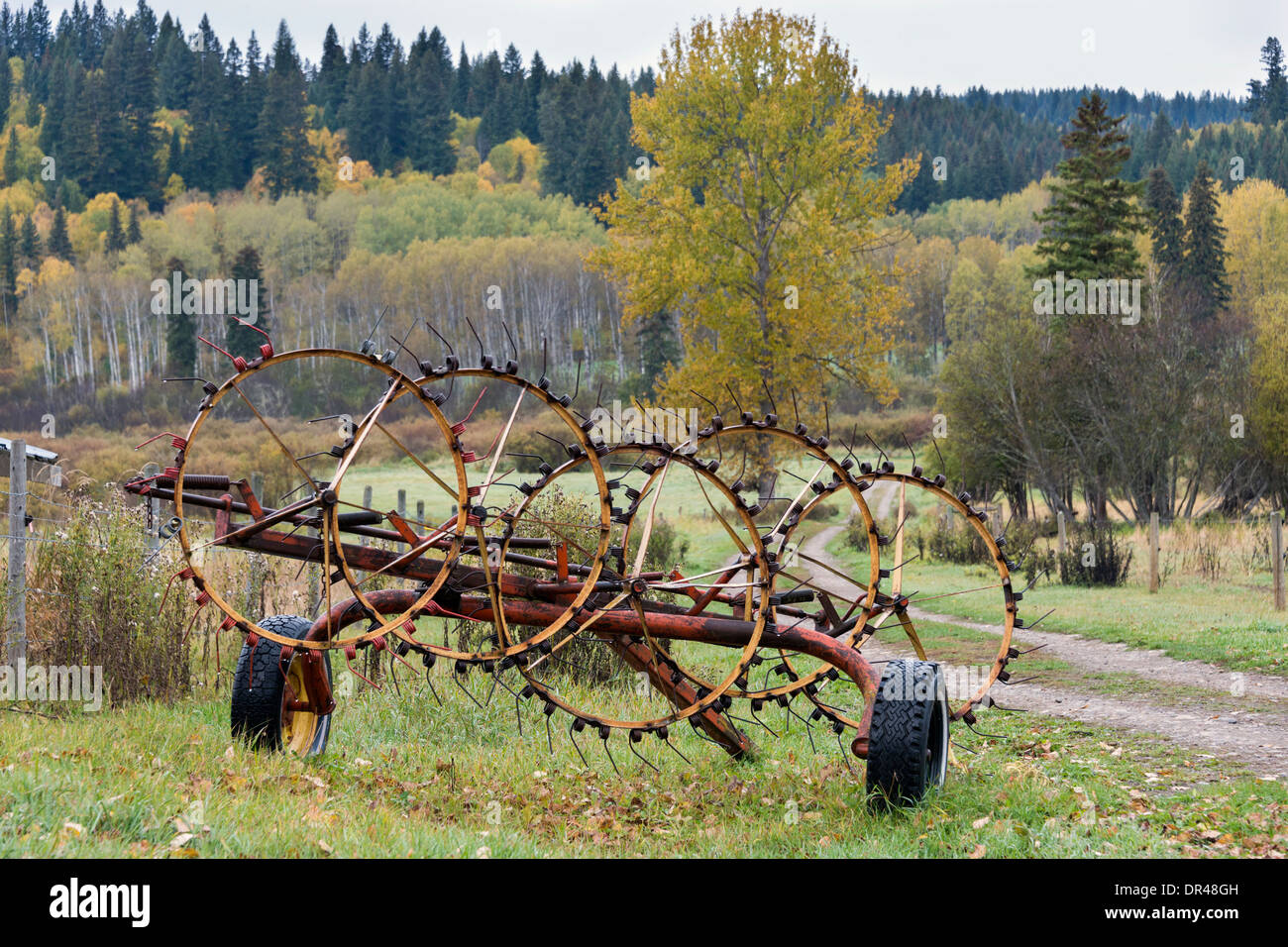 5 wheel star wheeled hay rake hi-res stock photography and images - Alamy