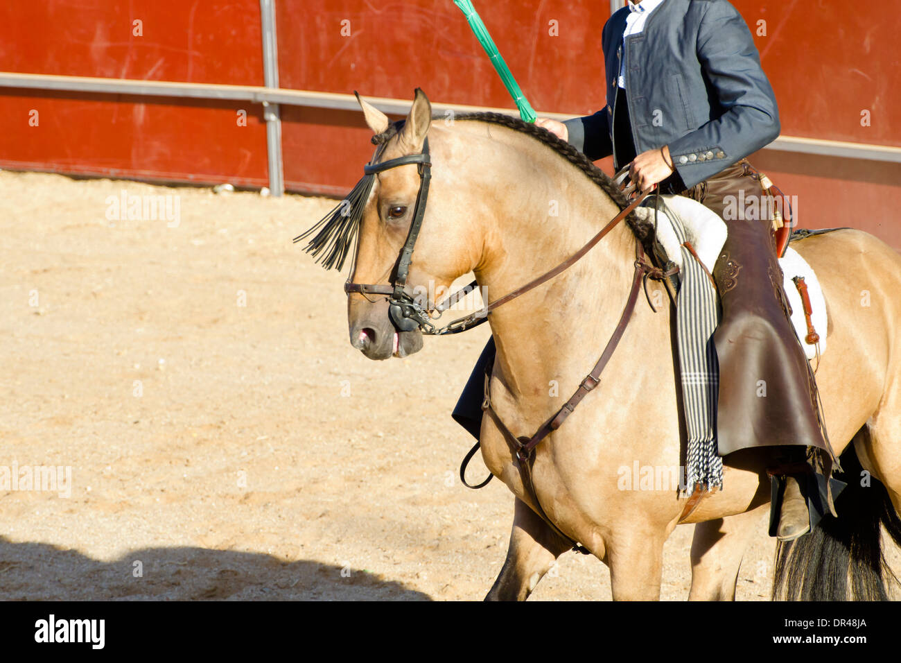 Bull goring bullfighter hi-res stock photography and images - Alamy