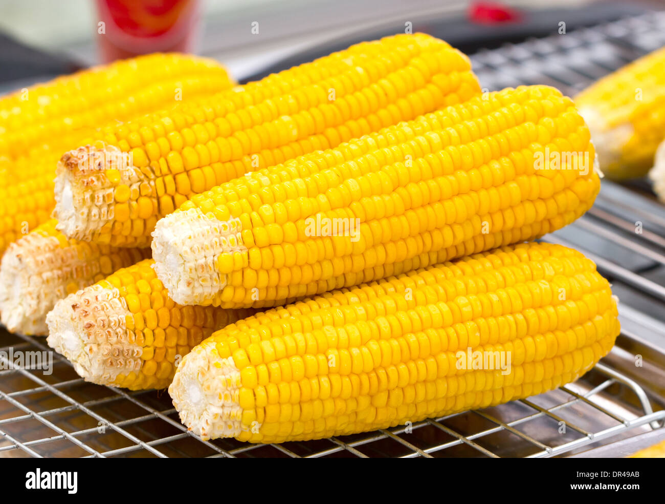 Fresh golden yellow corn roasted on a grill Stock Photo - Alamy