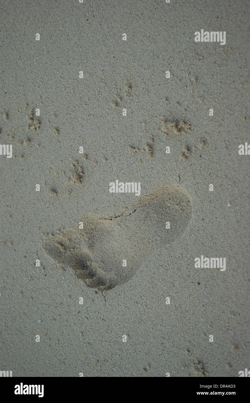 Disturbed Sand Stock Photos & Disturbed Sand Stock Images - Alamy