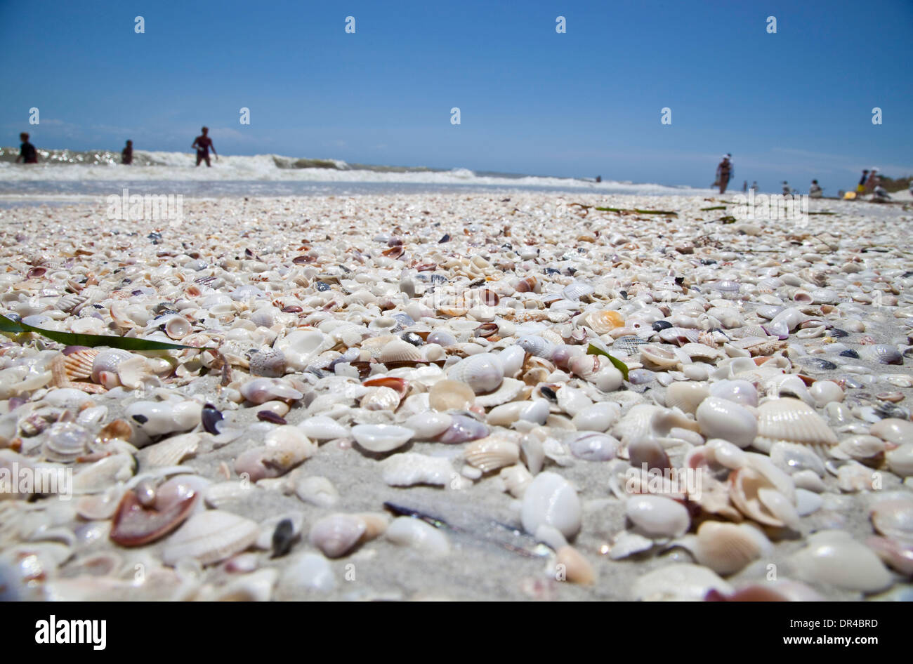 Sanibel stoop hi-res stock photography and images - Alamy