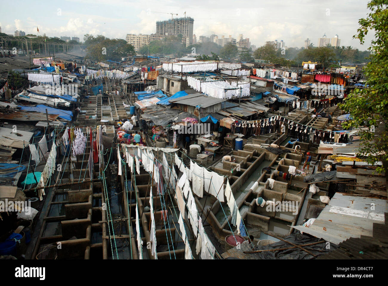 Jan. 12, 2009 - Mumbai, India - Dhobi ghat in Mumbai where hundreds of ...