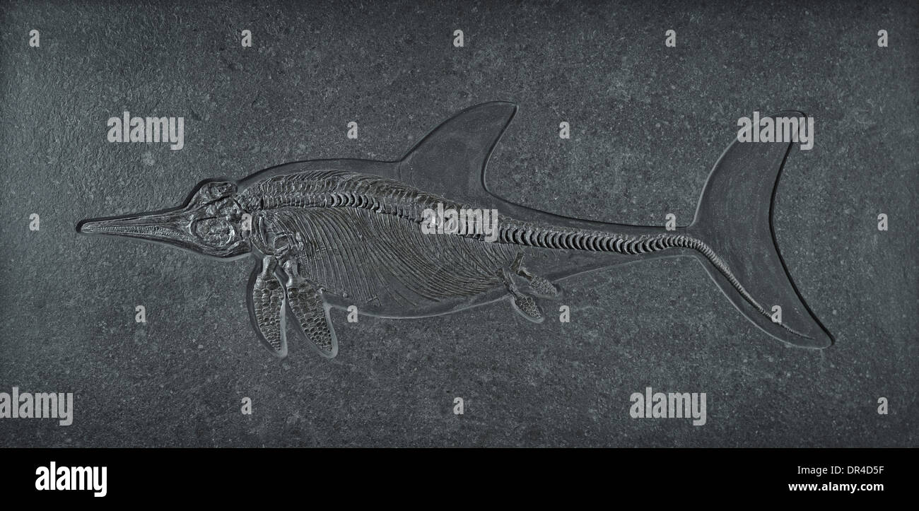 Mamiya science hi-res stock photography and images - Alamy