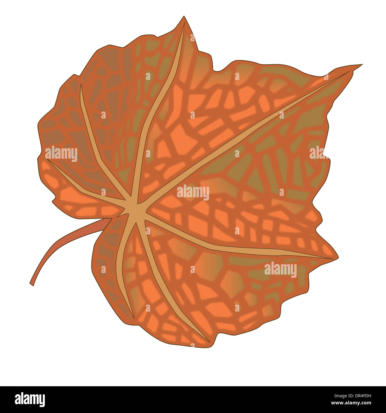 A brown autumn leaf isolated over a white background Stock Photo - Alamy