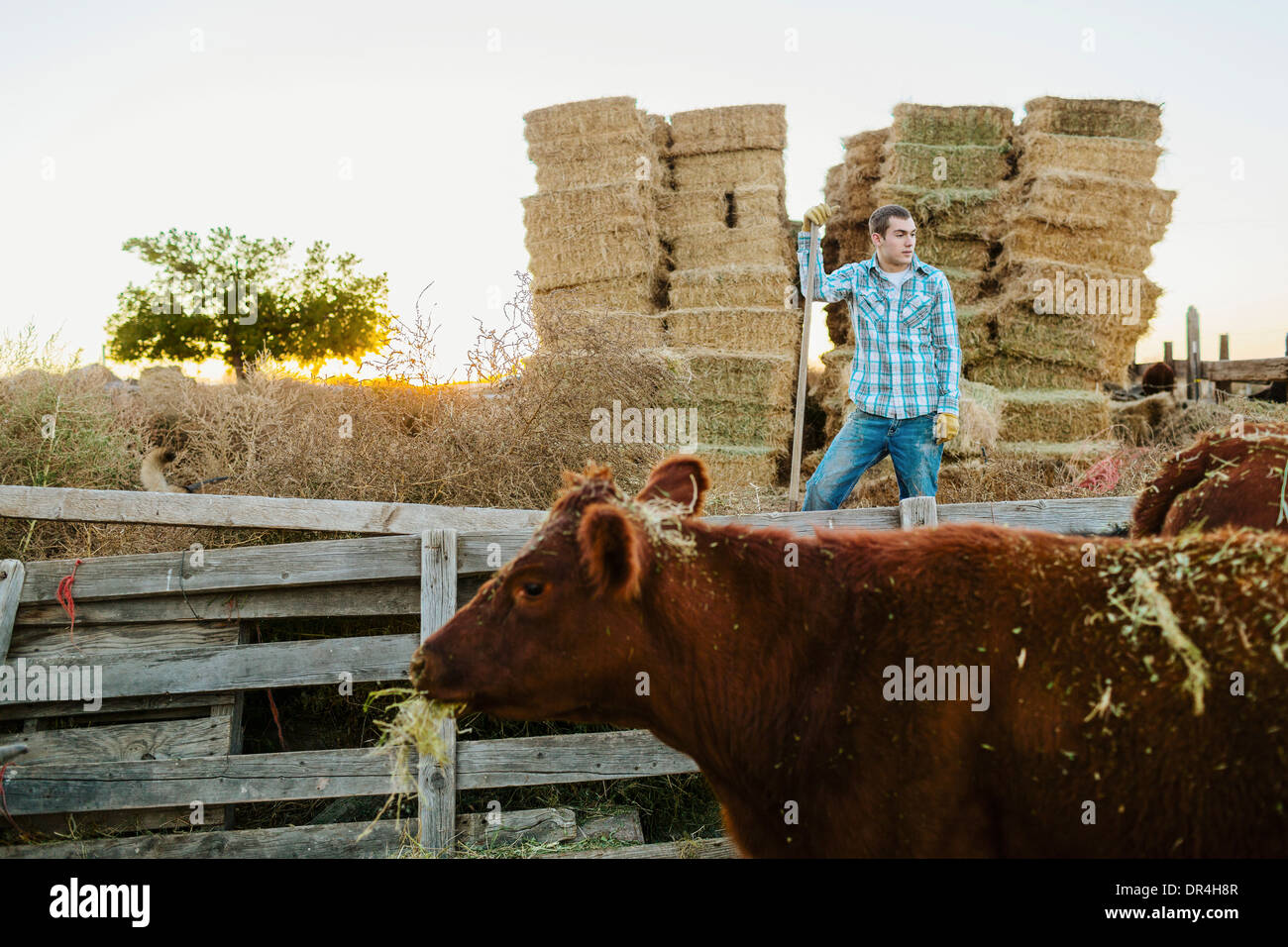 Two people working large group hi-res stock photography and images - Alamy