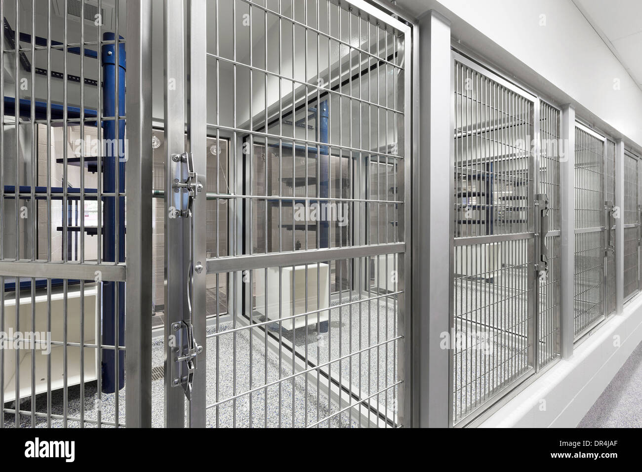 Glass viewing area windows of empty cages in animal shelter Stock Photo ...