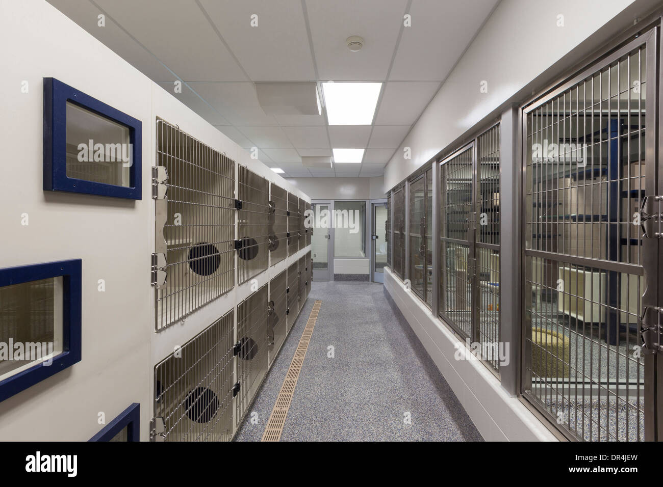 Empty cages hi-res stock photography and images - Alamy