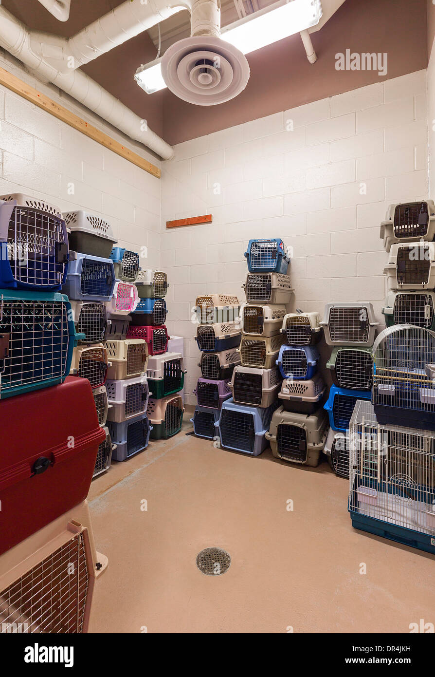 Empty pet crates stacked in room in animal shelter Stock Photo - Alamy